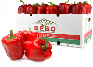 Bebo Fresh – From our Home to Yours
