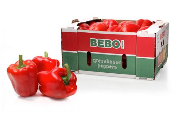 Bebo Fresh Produce Grocery & Specialty – From our Green Houses to ...